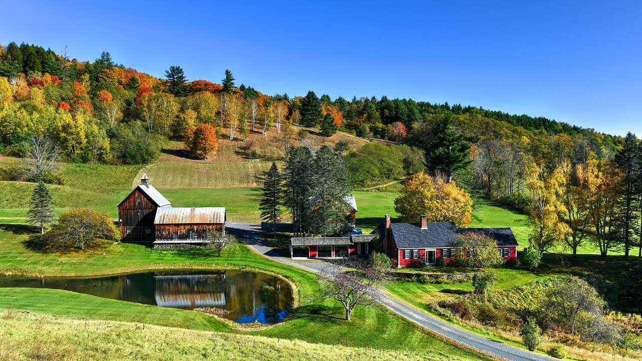 50 Interesting & Fun Facts About Vermont State to Know (Updated in 2023)