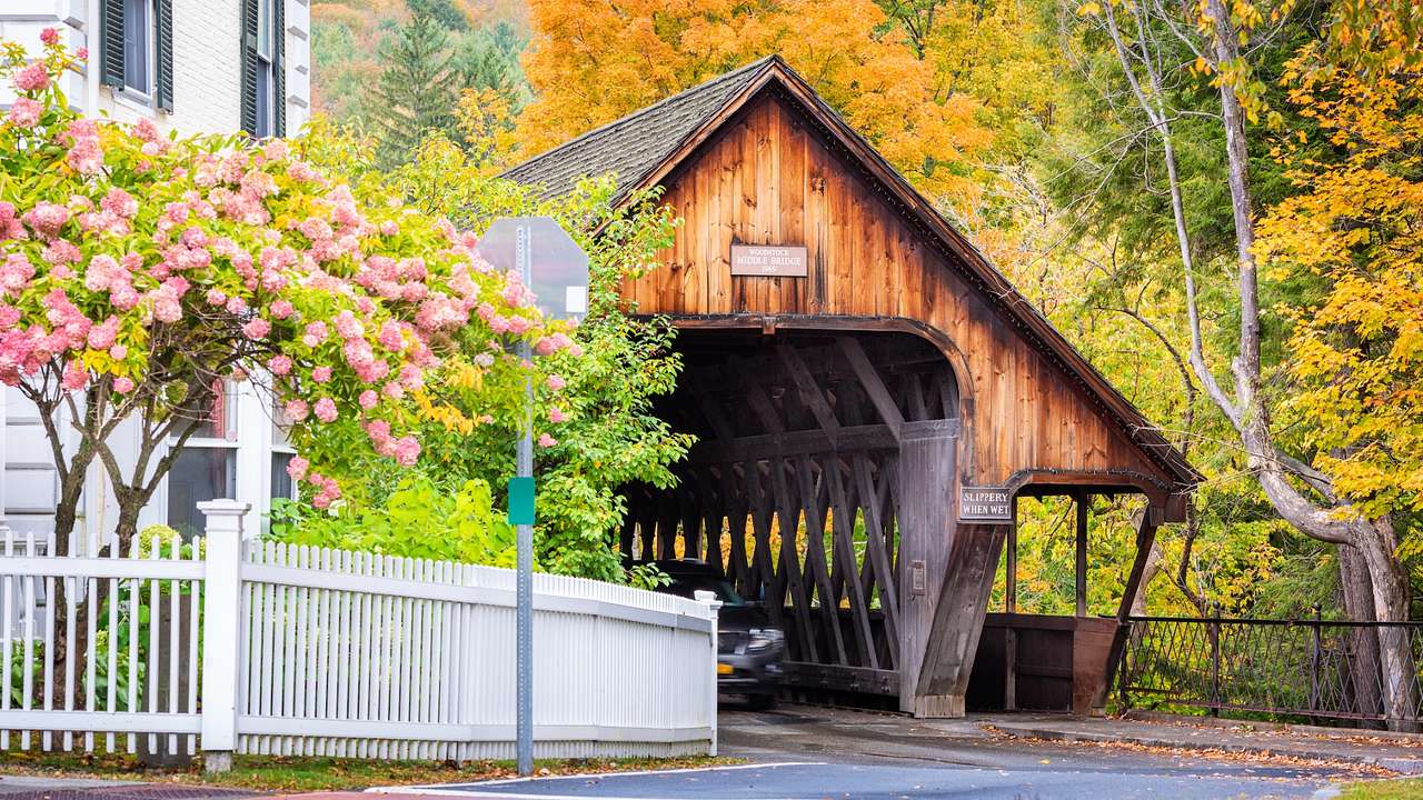 50 Interesting & Fun Facts About Vermont State to Know (Updated in 2023)