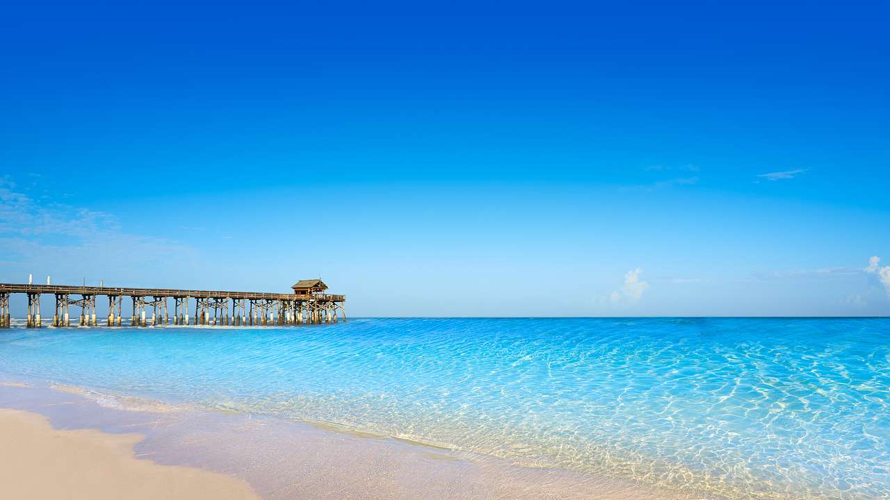 50 Interesting & Fun Facts About Florida State (Updated in 2023)