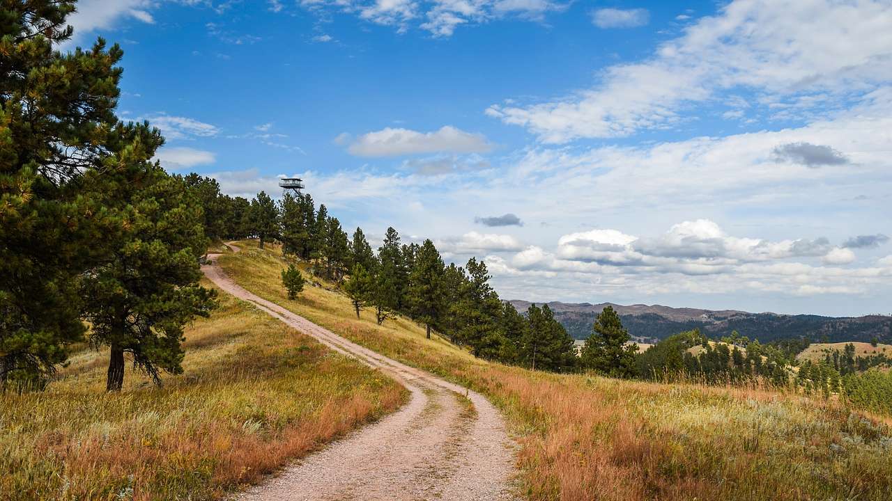 50 Interesting & Fun Facts About South Dakota State (Updated in 2023)