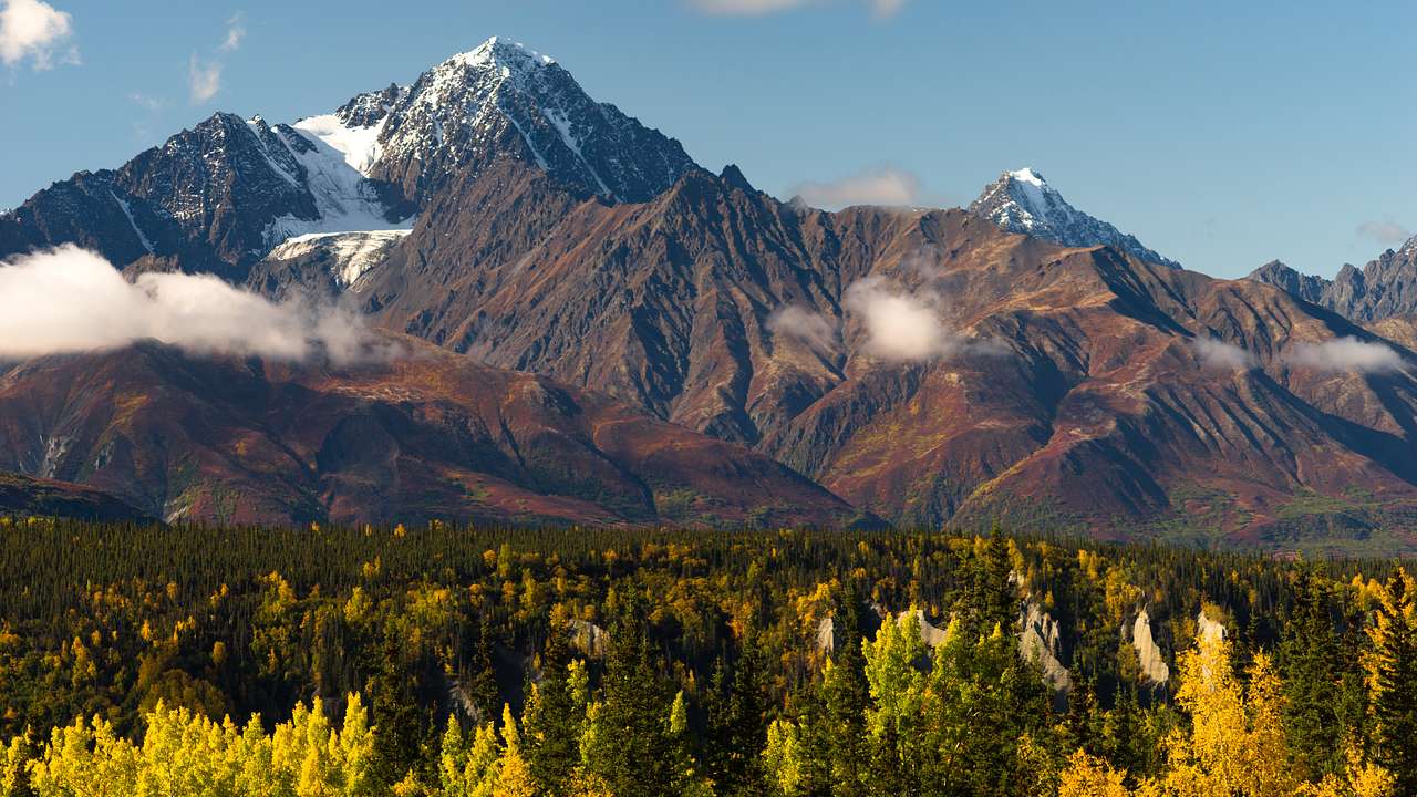 50 Interesting & Fun Facts About Alaska State to Know (Updated in 2023)