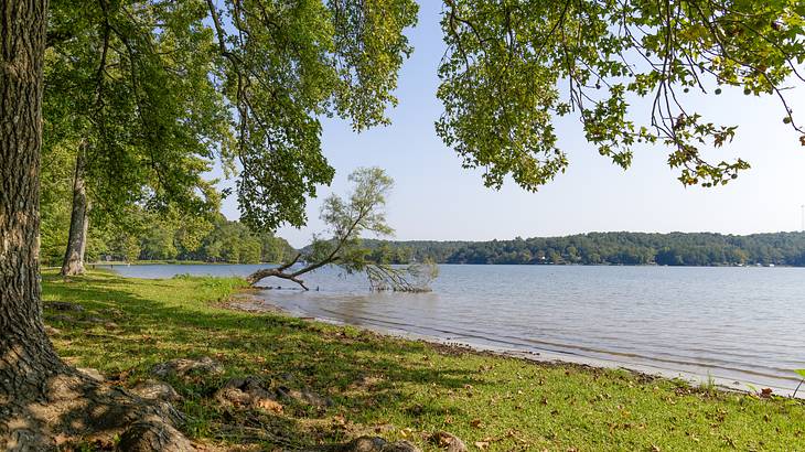 50 Interesting & Fun Facts About Arkansas State to Discover