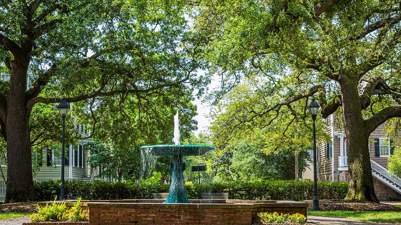 50 Interesting & Fun Facts About Georgia State You Should Know