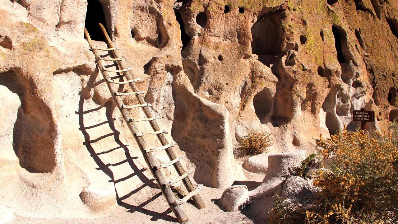 50 Interesting & Fun Facts About New Mexico State to Discover