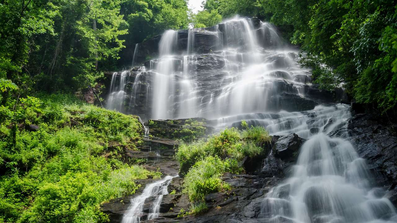 50 Interesting & Fun Facts About Georgia State You Should Know