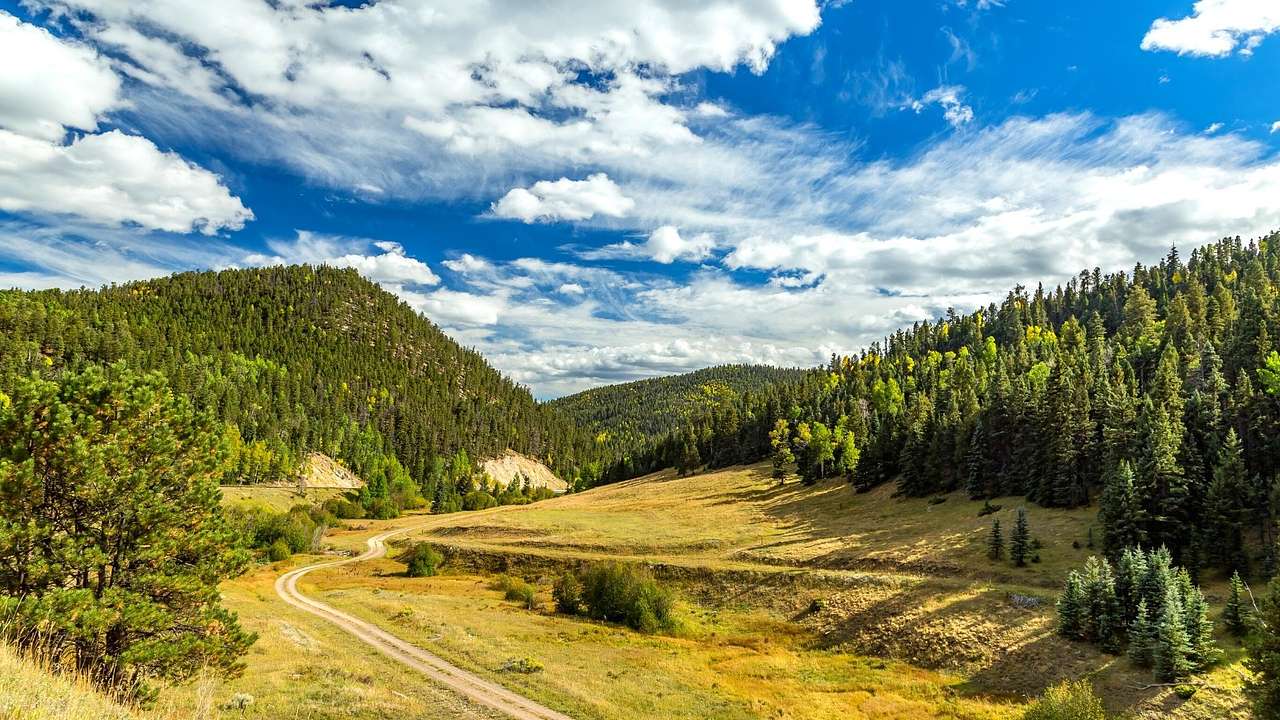 50 Interesting & Fun Facts About New Mexico State to Discover