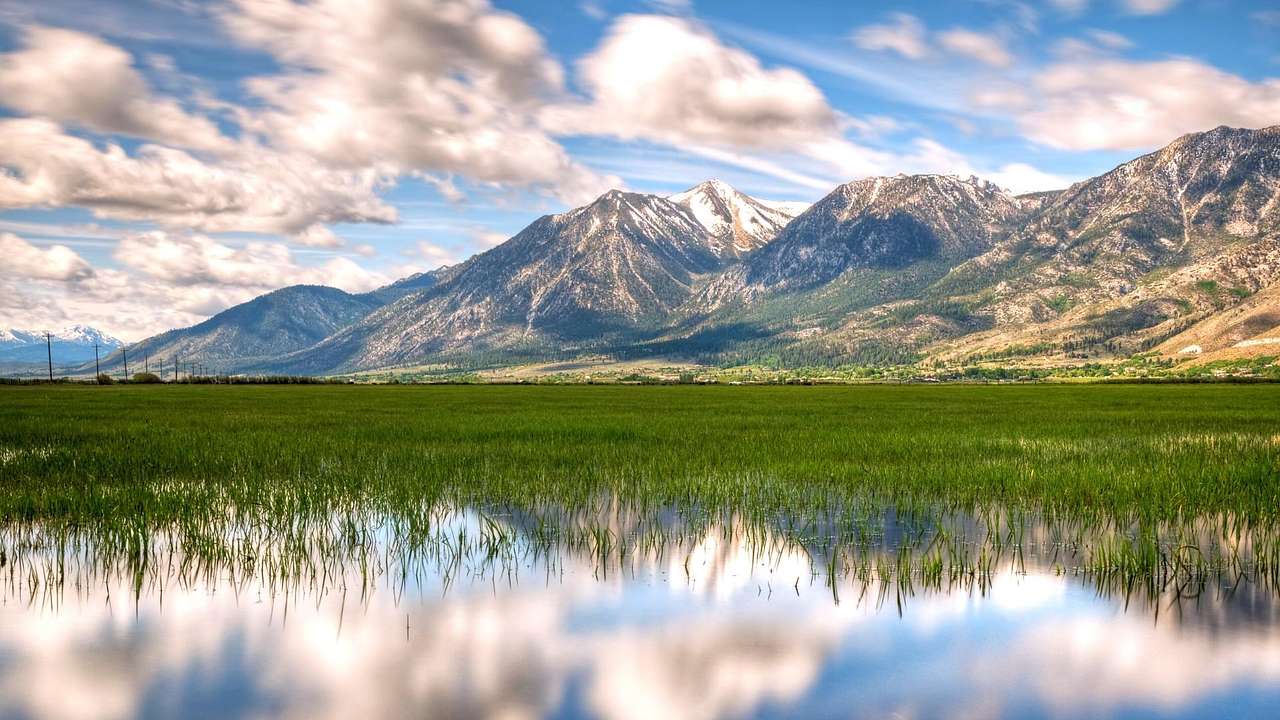 50 Interesting & Fun Facts About Nevada State (Updated in 2023)