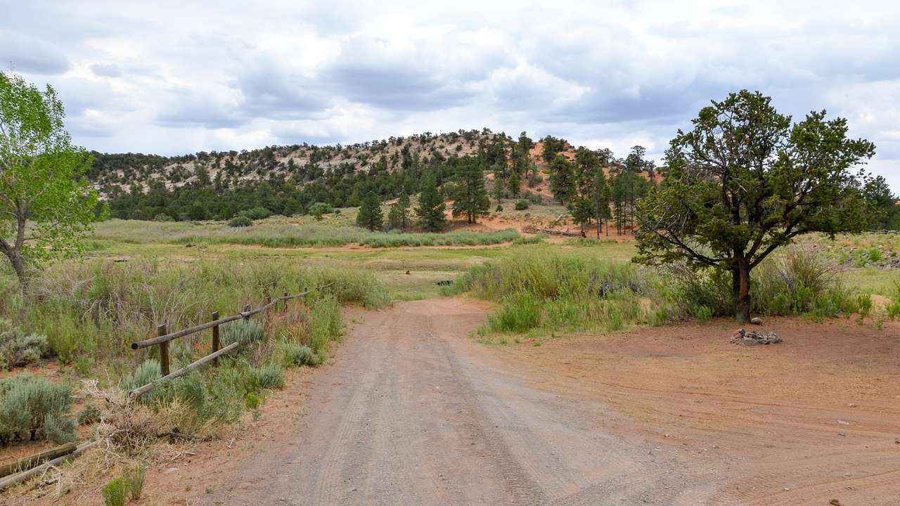 50 Interesting & Fun Facts About Utah State to Discover (Updated in 2023)