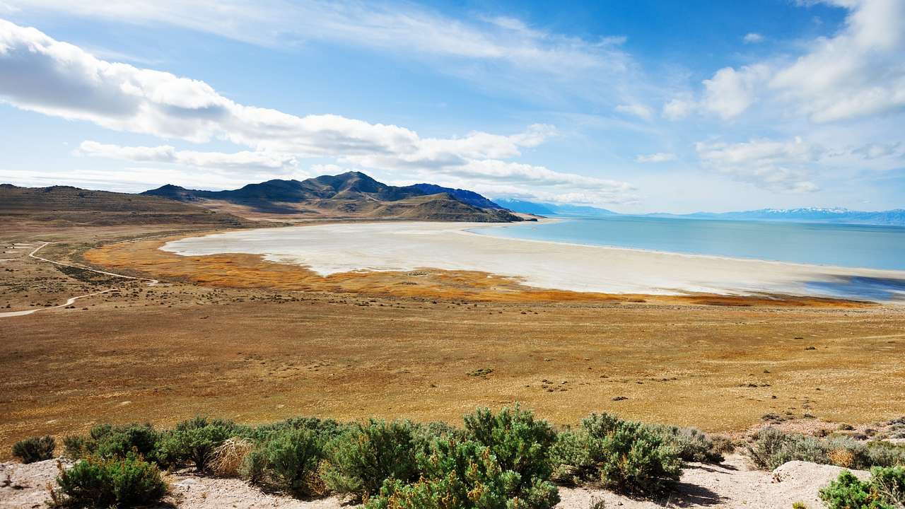 50 Interesting & Fun Facts About Utah State to Discover (Updated in 2023)