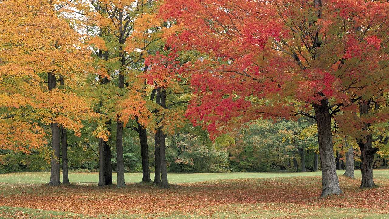 50 Interesting & Fun Facts About Vermont State to Know (Updated in 2023)