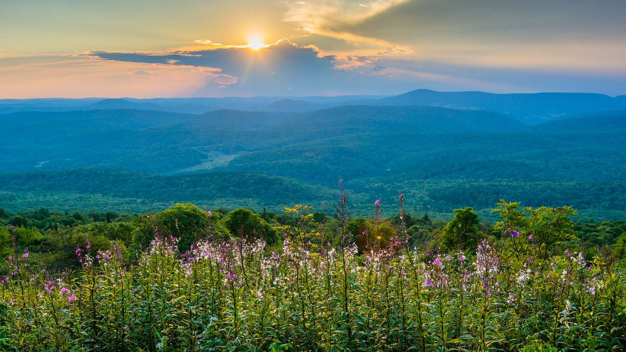 50 Interesting & Fun Facts About West Virginia State (Updated in 2023)