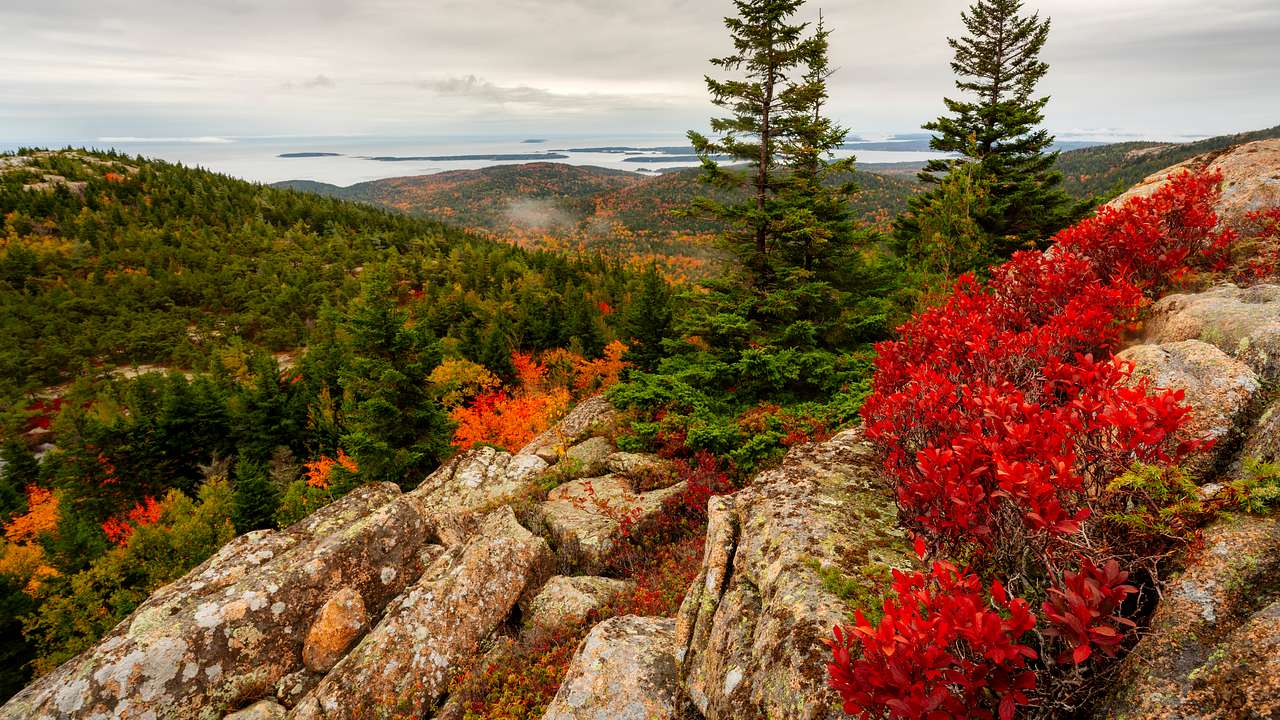 Best Time to Visit Acadia National Park (Updated in 2023)