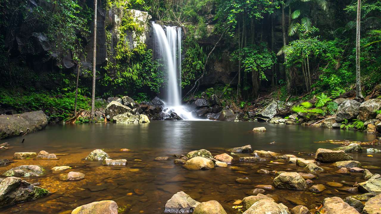 26 Best Brisbane Lookouts - In and Around the City (Updated in 2023)