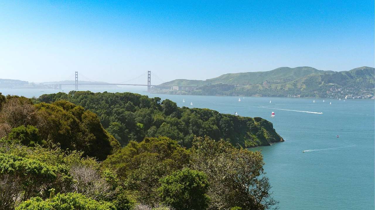 36 Fun San Francisco Date Ideas