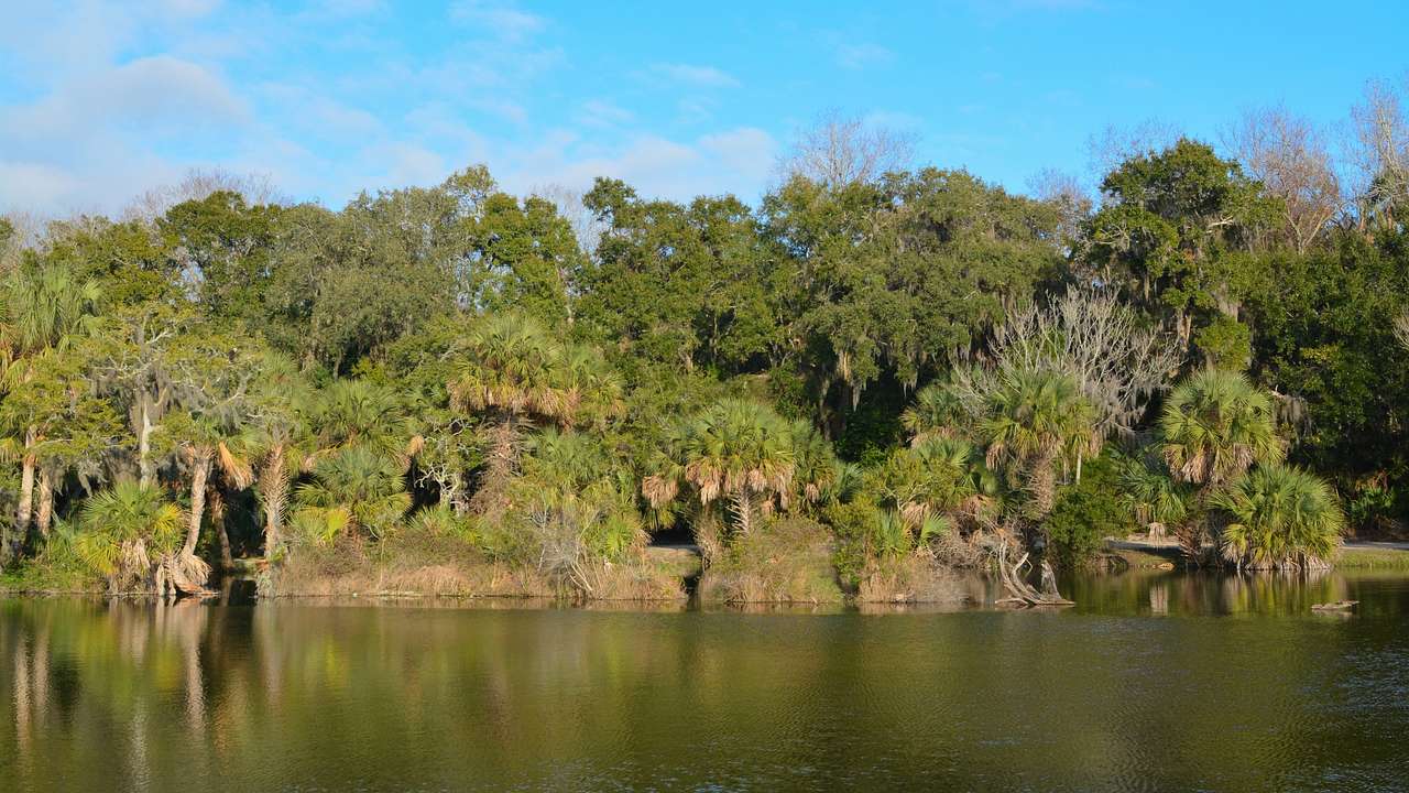 20 Landmarks in Jacksonville, FL, to Visit (Updated in 2023)