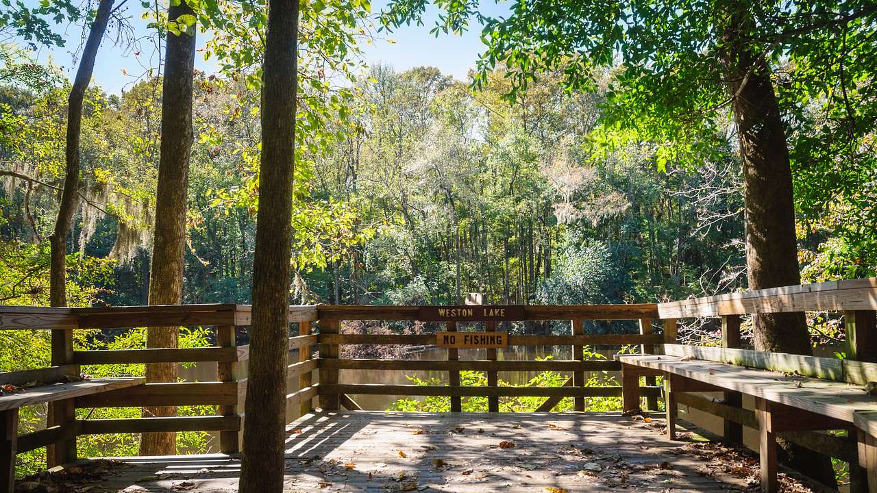 20 Famous Landmarks in South Carolina to Visit