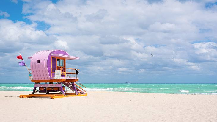 12 Miami Nicknames That Will Surprise You (Updated in 2023)
