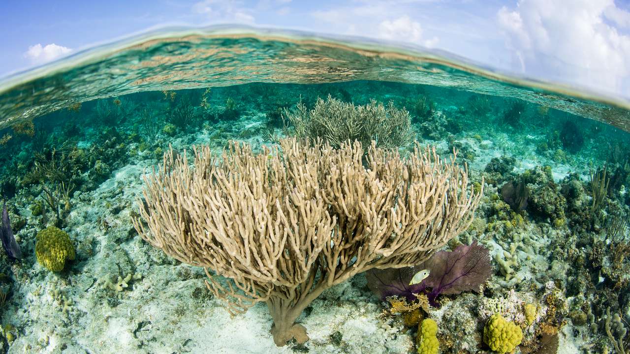 20 Fun Facts About Cancun, Mexico, You Probably Didn't Know